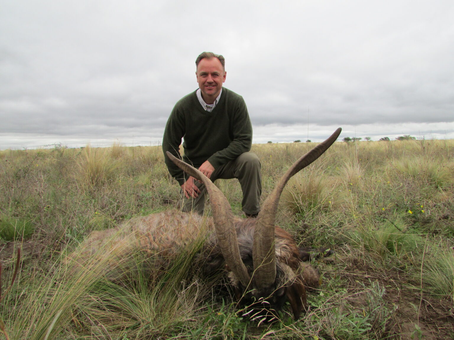 Water Buffalo Hunting Packages - South American Adventure Safaris