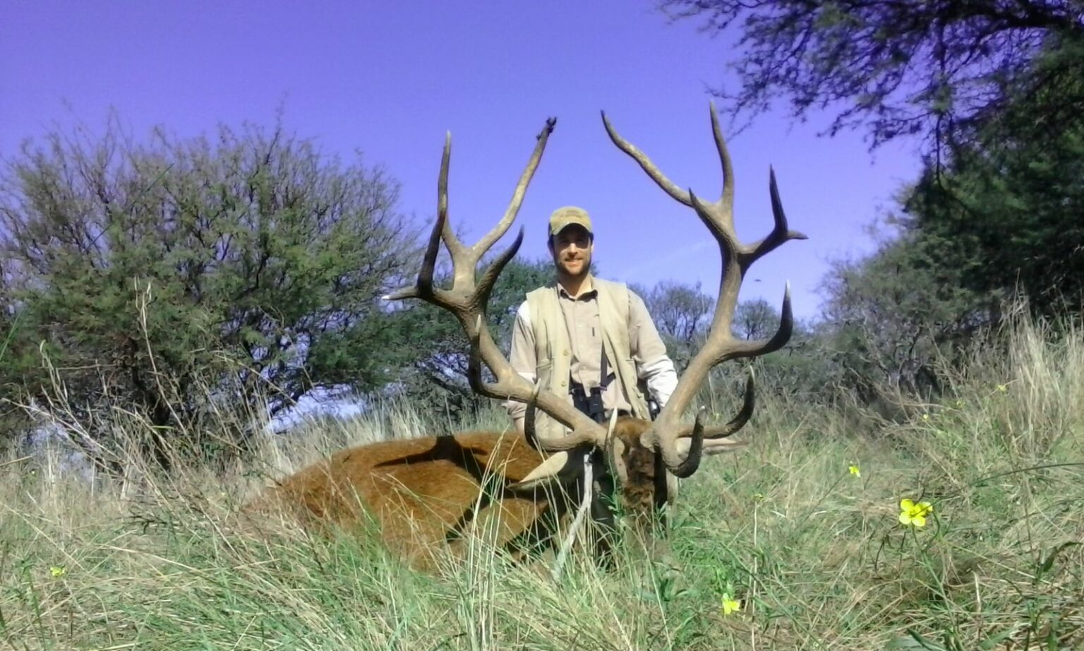 Red Stag Hunting Packages - South American Adventure Safaris